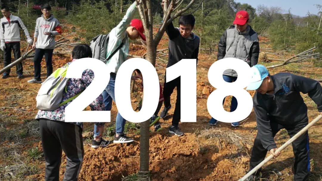 植树快闪——400张照片20个视频见证染绿江城故事,你也在里面!