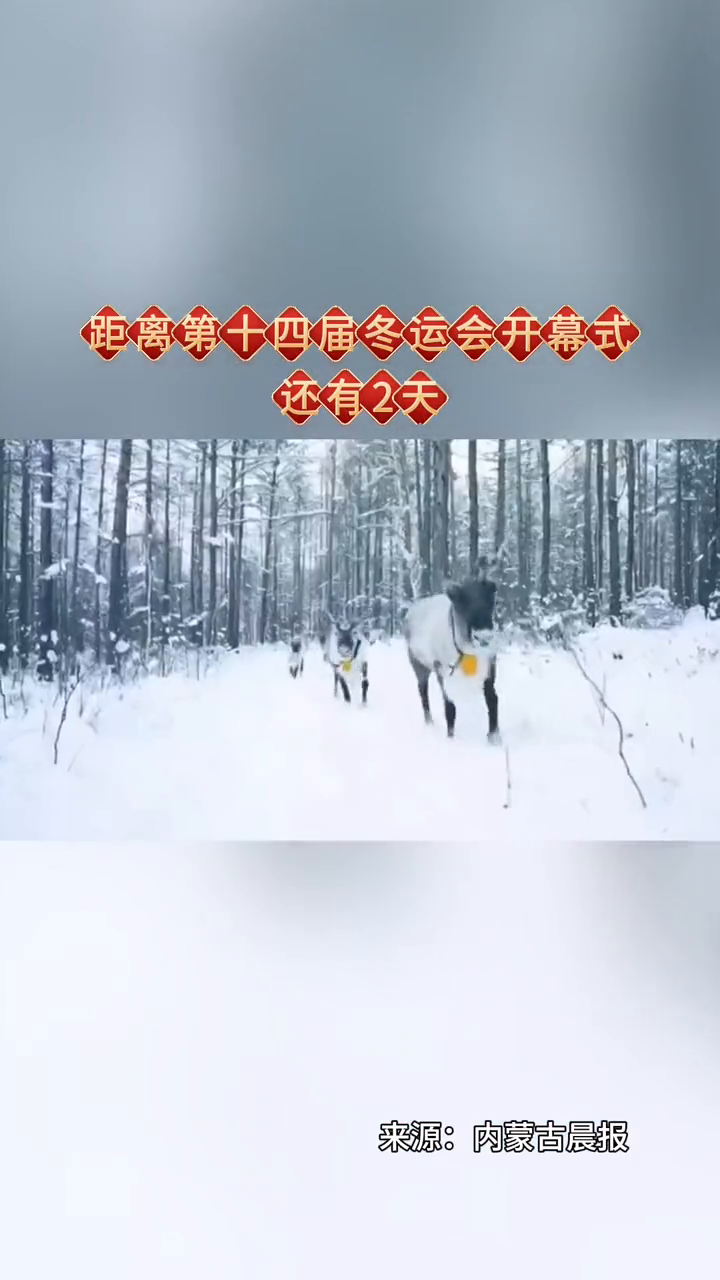 距离第十四届冬运会开幕式还有2天!