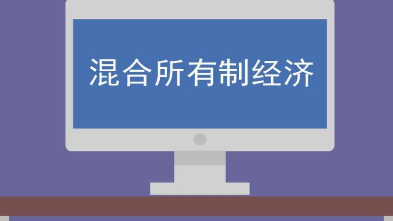 混合所有制经济:所有制结构非单一性的表现
