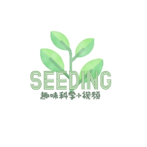 趣味科学小视频 