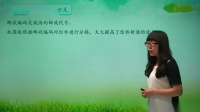 数学 基础强化 五年级 上册 人教版 第27集 邮政编码的结构和含义