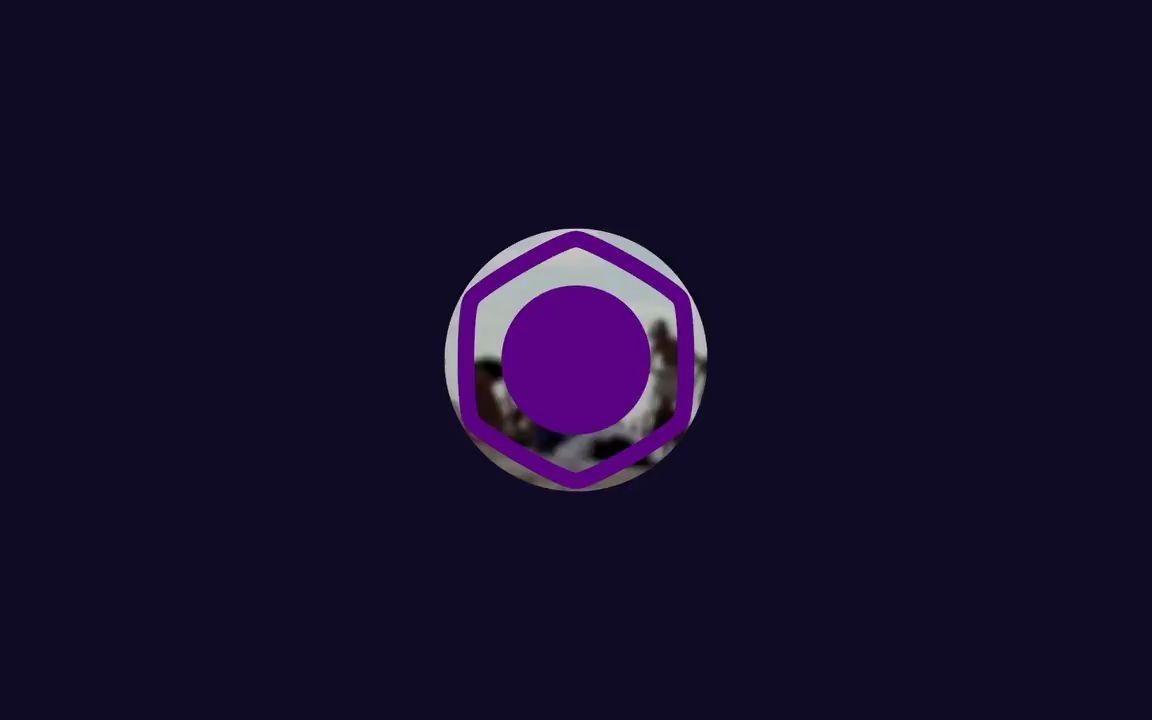 多颜色简单的原始Logo过渡效果Pr模板