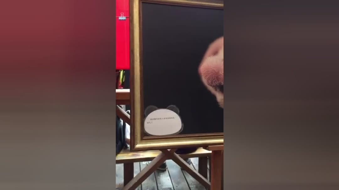 熊猫生长发育过程