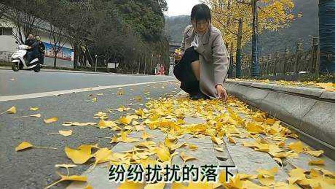 晚秋凋零的银杏树,与耐寒的红花形成的强烈对比,都是美丽的图画