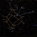 菠萝座的菠萝酱 