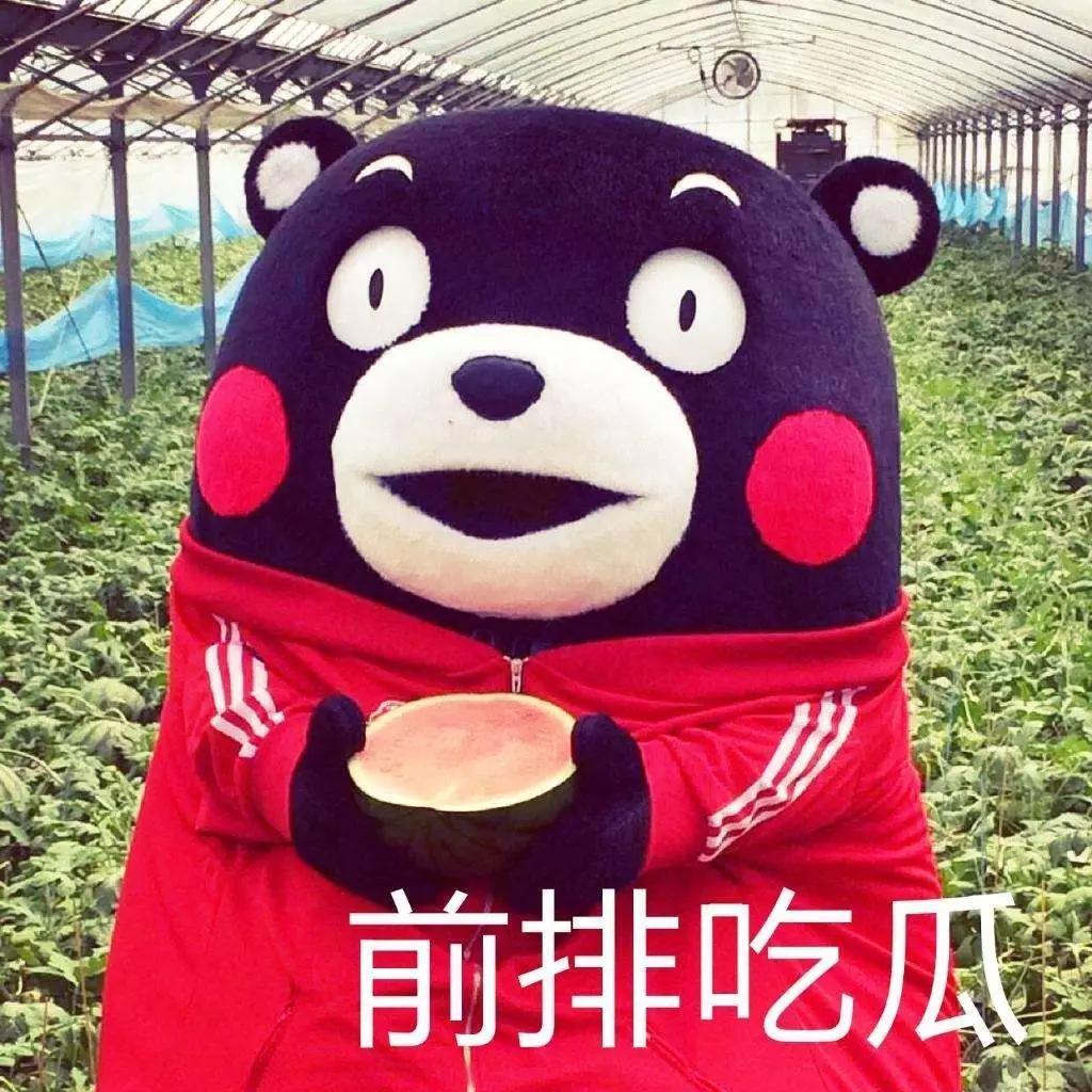 小小小小喵 