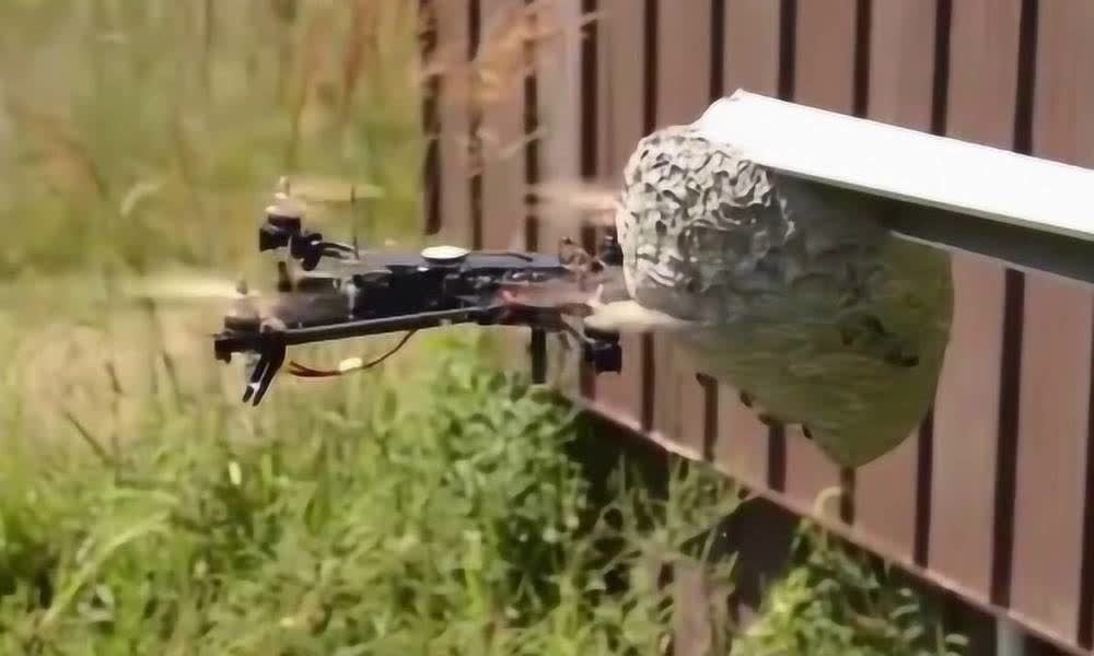 马蜂窝遭强拆,无人机大战马蜂军团,镜头记录全过程