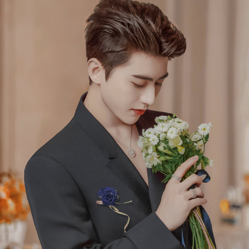 醉葵祸首小葵星 