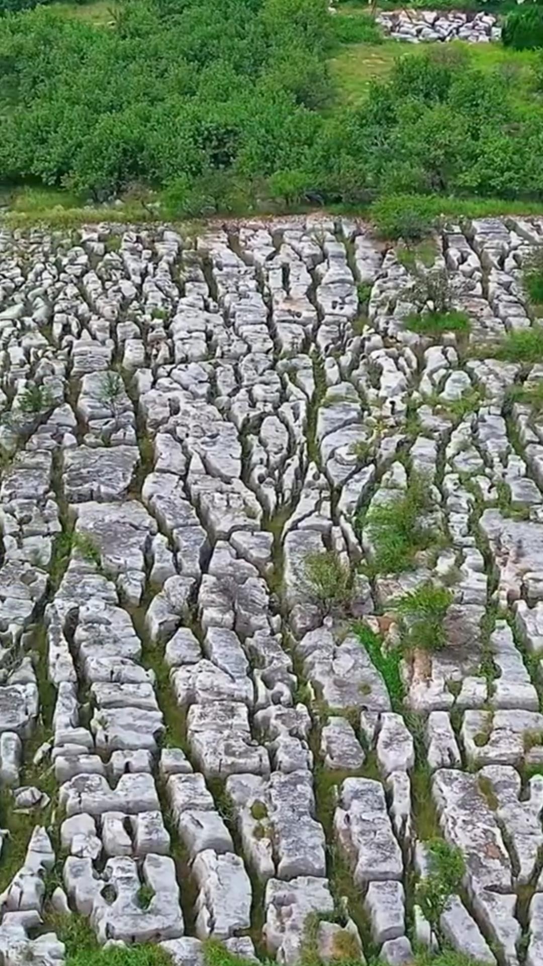 齐鲁大地上的地球“二维码”!究竟是怎么形成的呢?