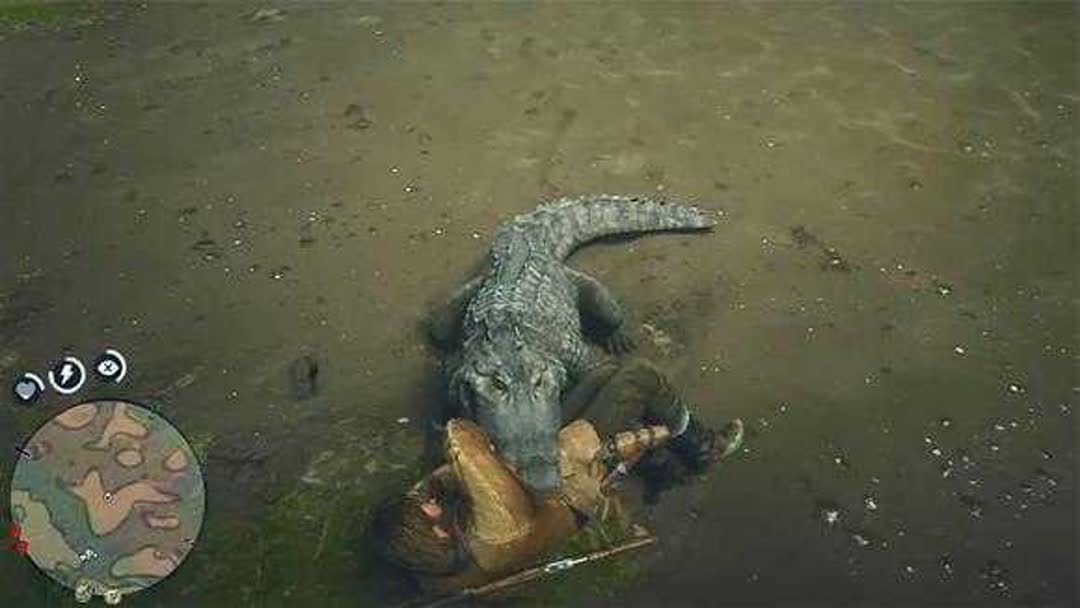 要是被鳄鱼咬一口会怎么样