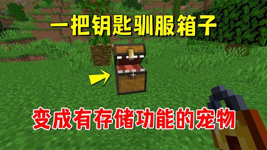 我的世界幸运宝箱怪2:一把钥匙驯服箱子,变成有存储功能的宠物