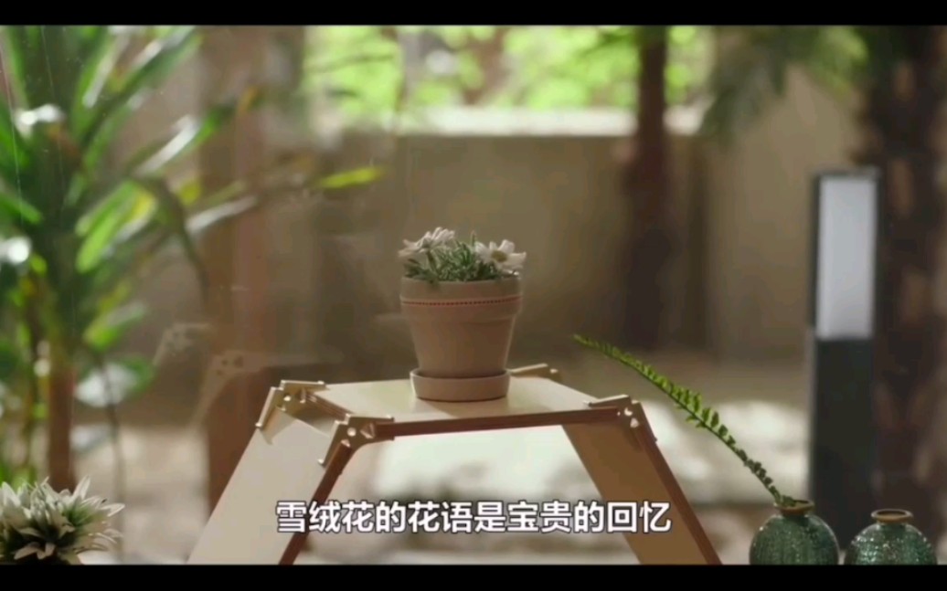 2020爱酱玄彬孙艺珍～我们在这花开的国度见面吧,我以我的你以你的,...