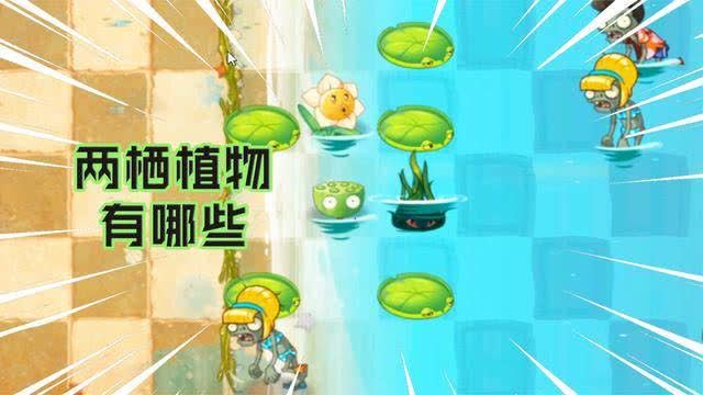 PVZ2:水仙花居然可以种植在水中?盘点那些水陆两栖植物都有谁