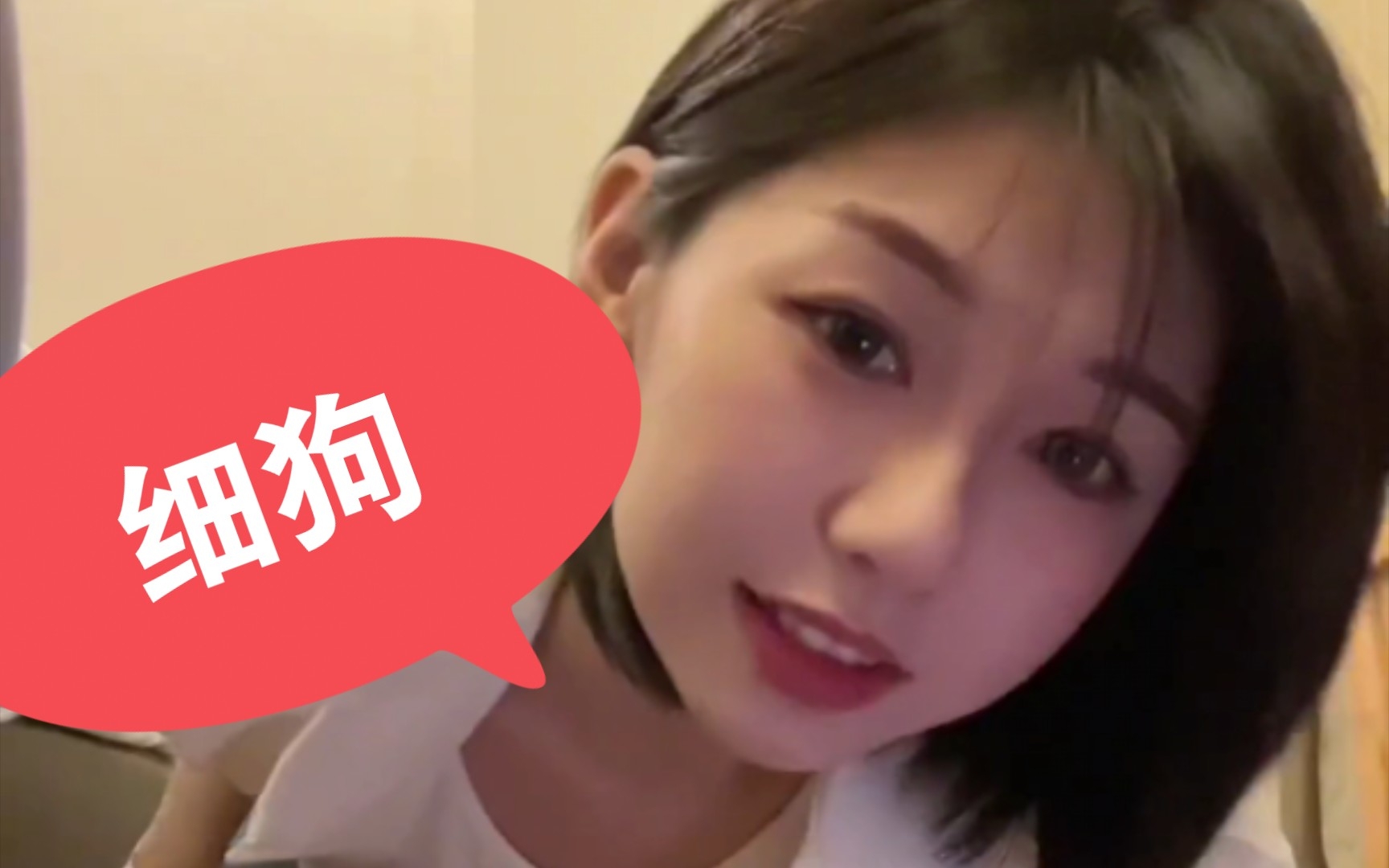 《你行不行啊细狗》蛇姐和程女士的嘲讽你收到了么