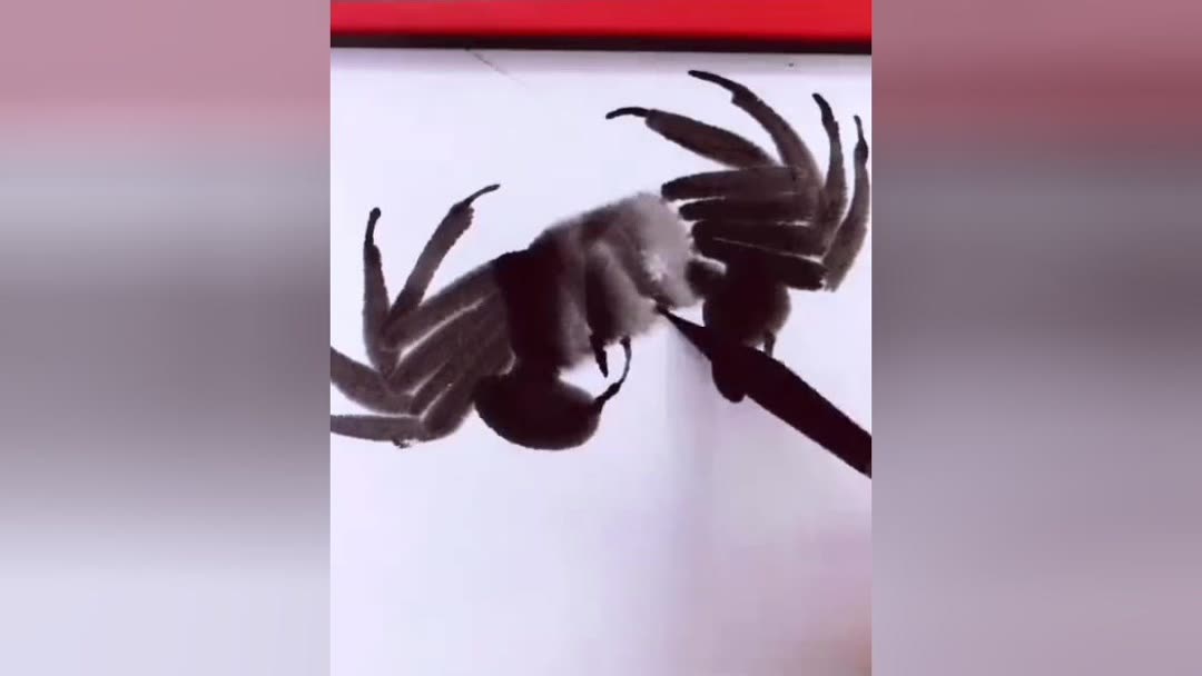 跟着大师学水墨画️ 教程在这哦～#水墨.
