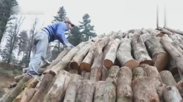 实拍制作木炭全过程:烧制木炭的工艺大师