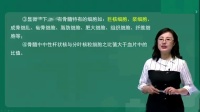 主管检验师 血液学检验