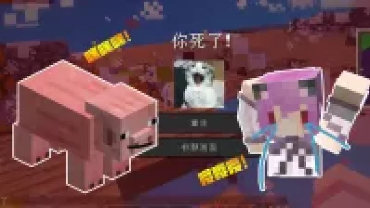 五歌我的世界模组生存 第471集 多模组空岛生存 我被猪炸死了!