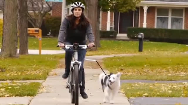 给狗狗洗澡是件很麻烦的事?看看老外发明的这东西怎么样?