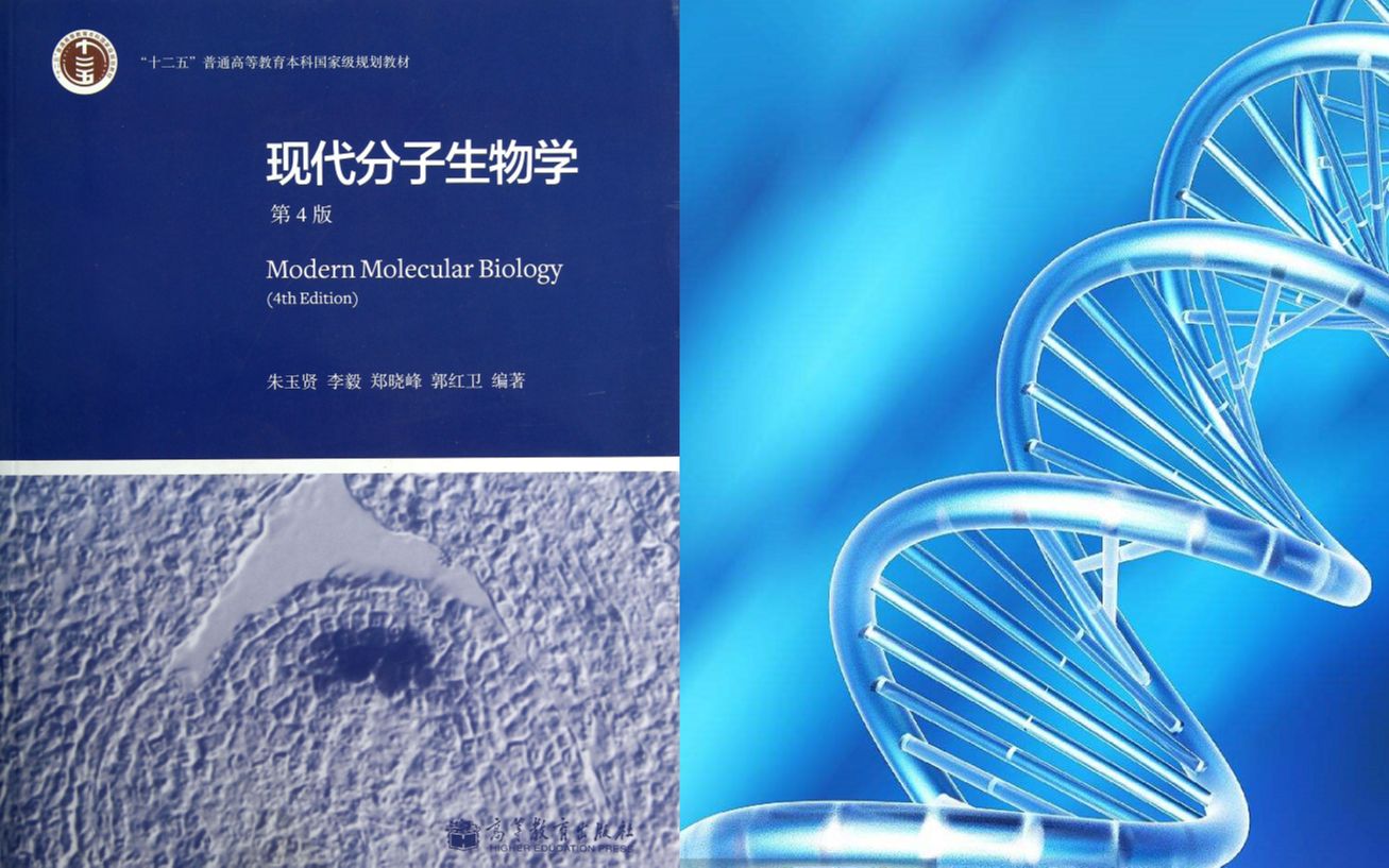 [分子生物学]第四章《蛋白质翻译》