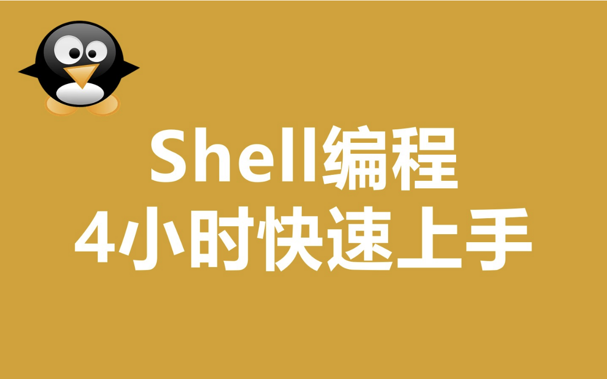 shell脚本从基础到自动化编程实战!shell编程快速入门,B站最通俗易懂的...