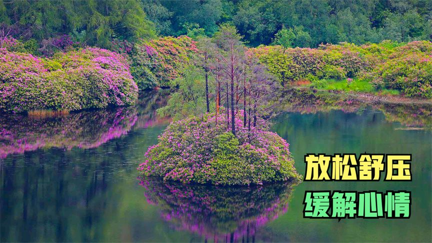 不在生气时做决定,不在高兴时轻许诺言