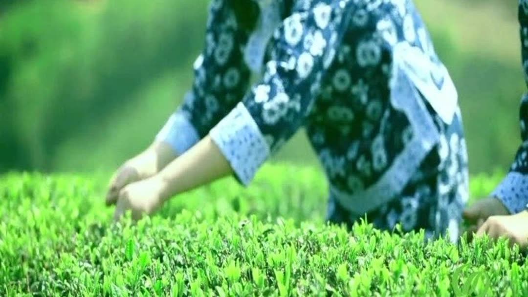 绿源集团宣传片