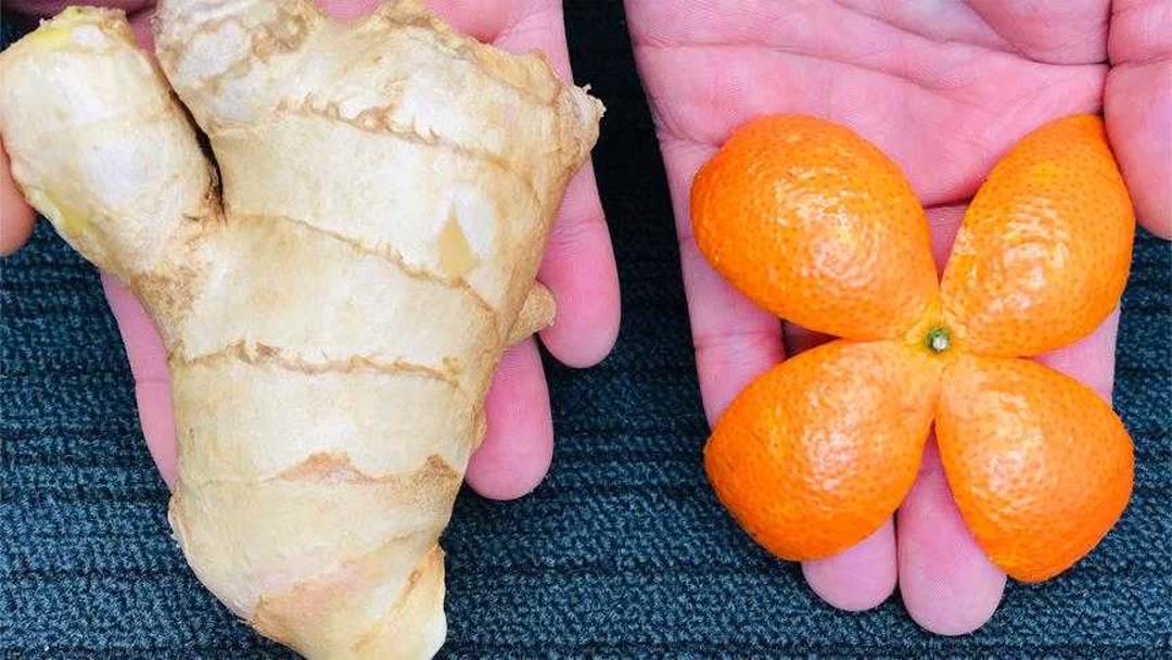 生姜和橘子皮放一起炒一炒,作用真是厉害,解决了不少人的烦恼