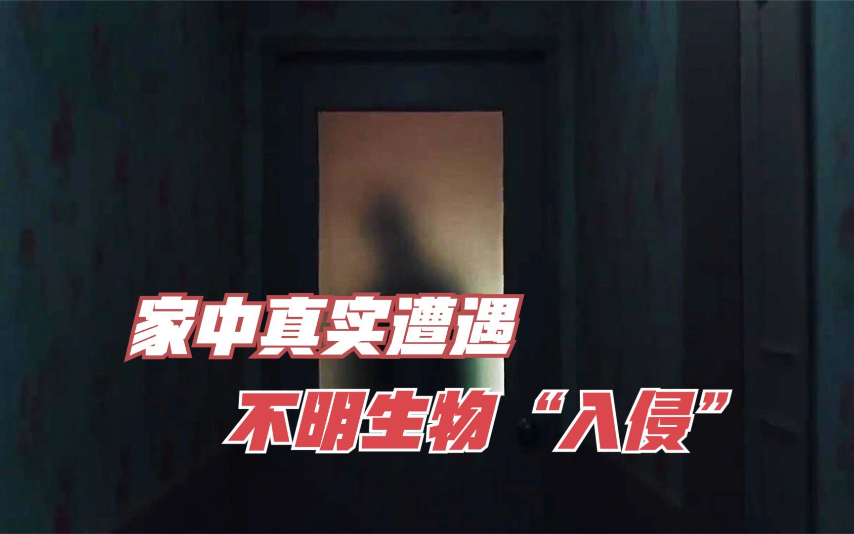 盘点家中诡异遭遇,视频特别真实,请胆小者赶紧离开,怕吓哭你!