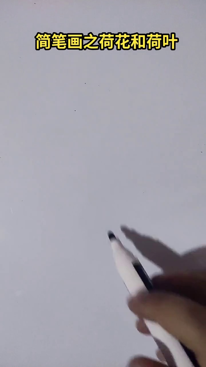 简笔画之荷花跟荷叶简笔画画画每日一画