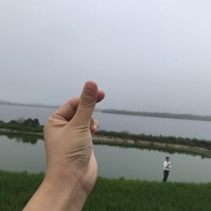 歌语CSH 