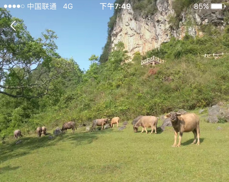 五彩缤纷叹世界 