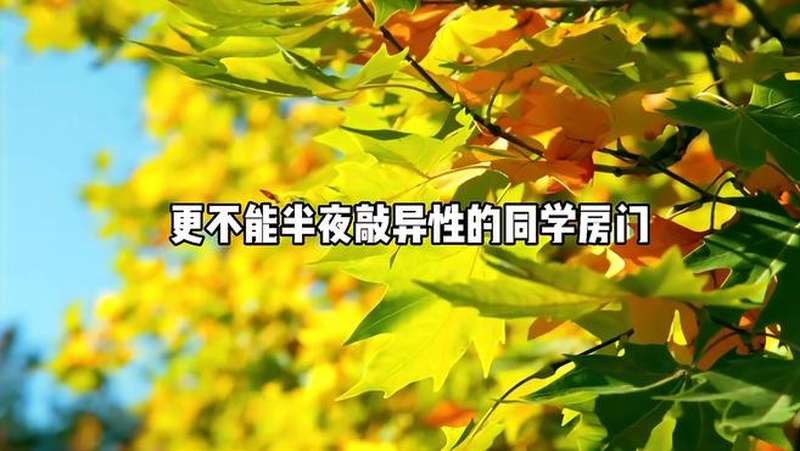 段嘉衍:你这个老六 #我喜欢你的信息素 #段嘉衍 #路星辞 #广播剧