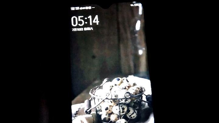 准高一男生挑战衡水中学作息表