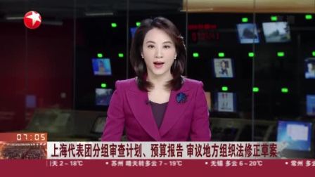 上海代表团分组审查计划、预算报告 审议地方组织法修正草案