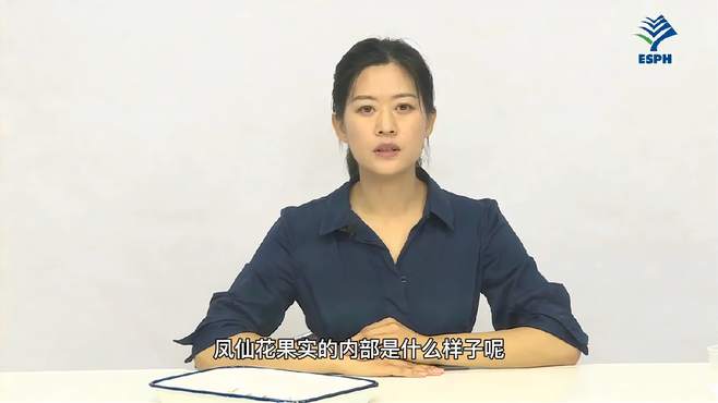 凤仙花果实内部的结构