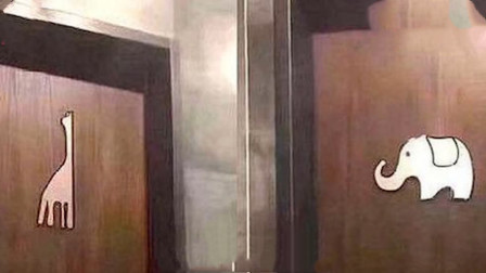 日本奇葩设计,公厕门口标识竟是大象和长颈鹿,看不懂了!