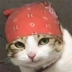 希の大肠杆菌 