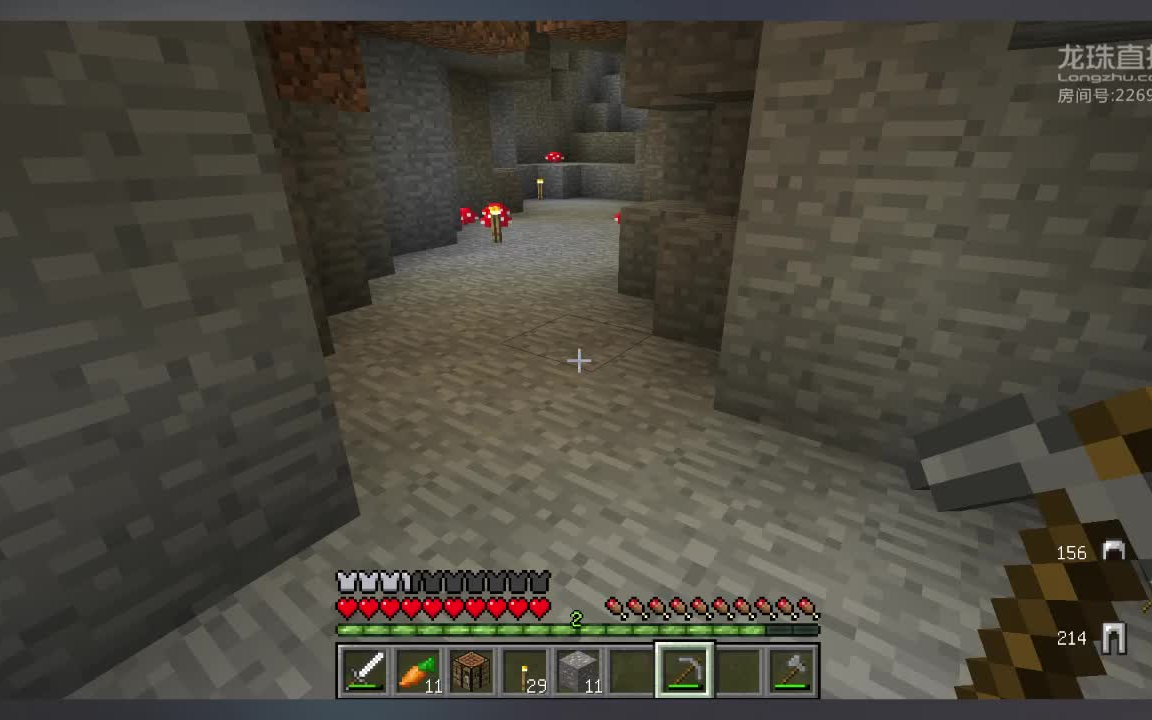 我的世界吸血鬼:第一期