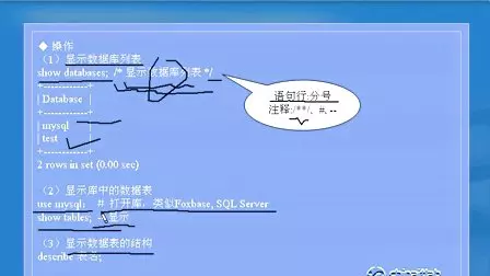 4 了解MySQL