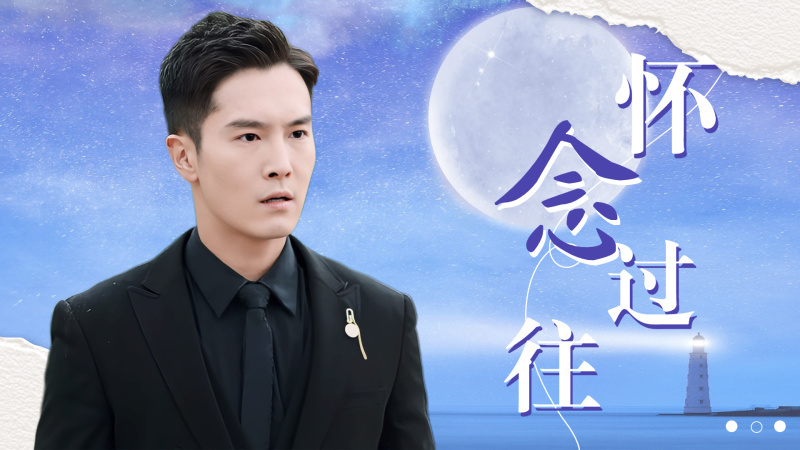 你是人间理想:感谢你从我的世界路过,从此我只能怀念过往