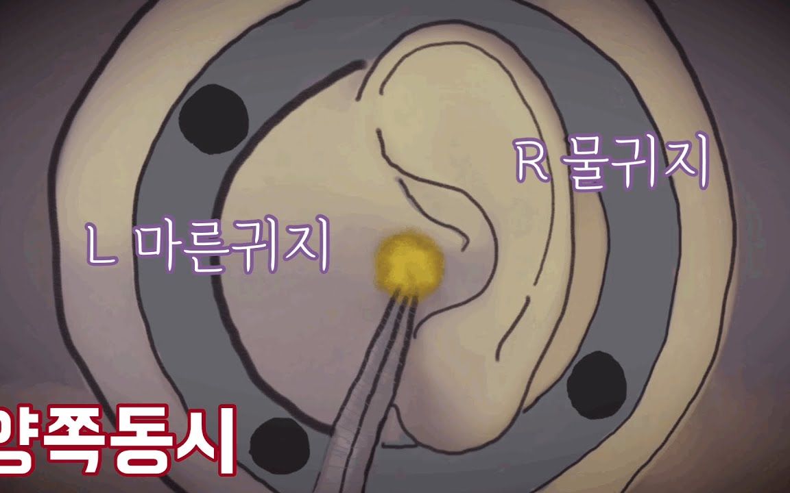 【Mongseul】动画 镊子双耳耳朵清洁 No Talking