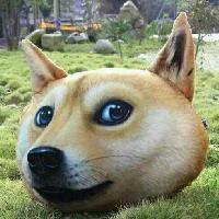 二哈娱乐八卦 