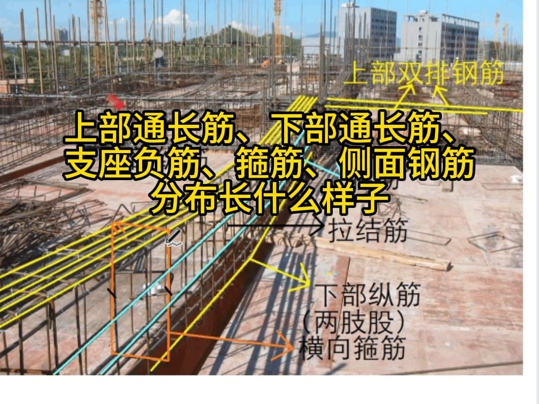 梁内有什么钢筋呢?上部通长筋、下部通长筋、支座负筋、箍筋、侧面...