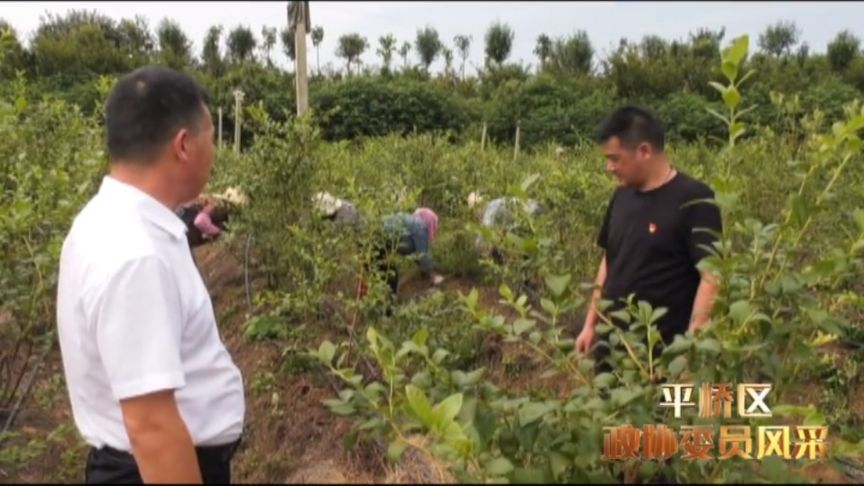 熊明星:积极建言献策 助力乡村振兴