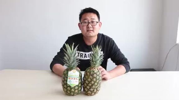 买了凤梨不会切 小丁教你家常版切法 简单易学不浪费
