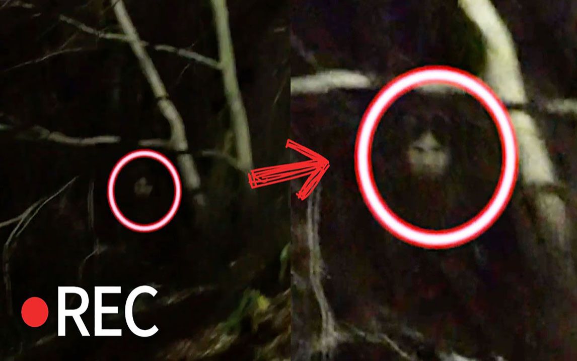 噢.又是一张脸 真实诡异录像 一条比一条恐怖