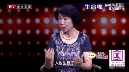 桑茶功效知多少