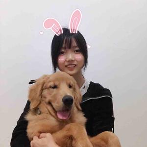 小凯你在说什么 