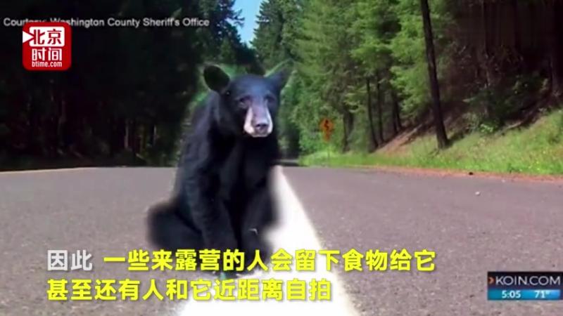 ...还对人很友好,因此附近居民会给它喂食,甚至有人和它自拍。但动物学...